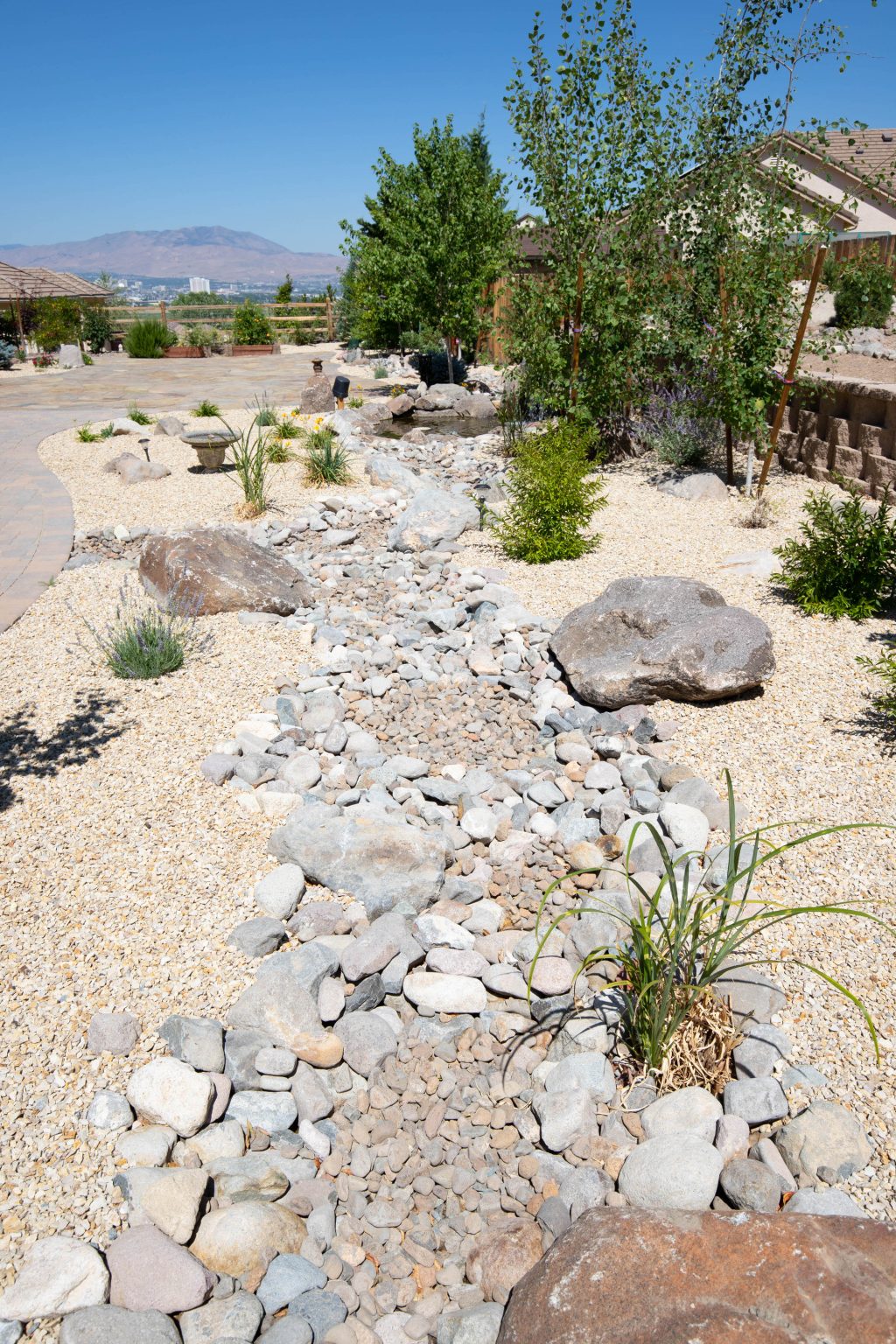 Xeriscaping - Gail Willey Landscaping